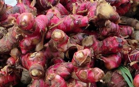 Resep Jahe Merah Resep Nasional