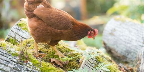 Breadth Vs Depth Why Breadth Is Key For Career Success