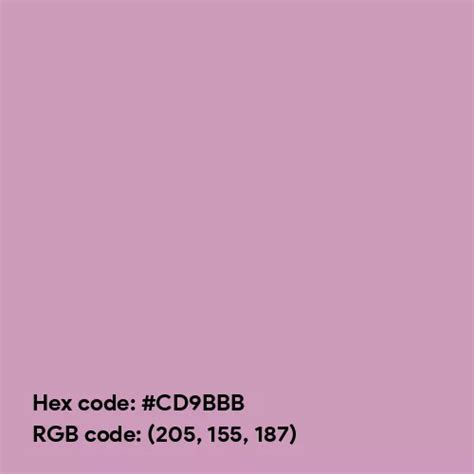 Hayden Color Hex Code Is Cd9bbb