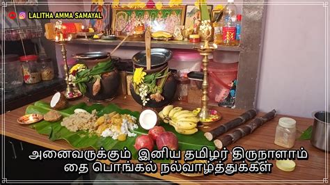 பொங்கல் திருவிழா கொண்டாட்டம் சர்க்கரை பொங்கல் வெண்பொங்கல் செய்முறை Youtube