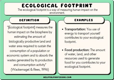 10 Ecological Footprint Examples 2024