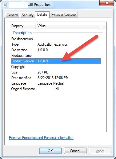 Net Assembly Display Project Version In Aspnet Core 100 Web