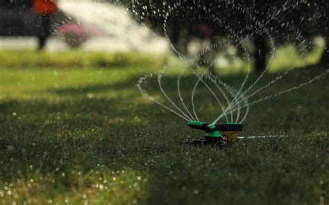 Is Lawn Sprinkler Irrigation Expensive Costs And Benefits