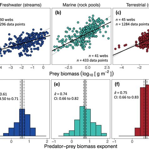 Across Web Predator Prey Biomass Scaling Among Ecosystem Types Each