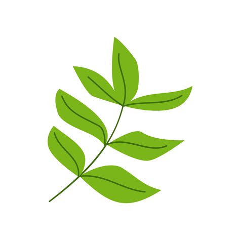 Simple Leaf Illustration For Nature Design Element 14011994 Png