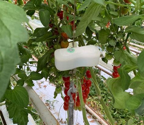 Quantified Sensor Technology Presents Sensor Integration With External Data Platforms Quantified