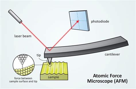 Atomic Force Microscope Reproduced From Nisenet 2017 Download Scientific Diagram