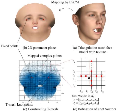 Figure 1 From Parametric T Spline Face Morphable Model For Detailed