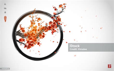 검은 엔소 선원과 떨어지는 벚꽃 잎의 동양 벚꽃 가지 전통적인 동양 잉크 페인팅 스미e U죄 고화 상형 문자의 번역 영원 자유 행복 꽃 나무에 대한 스톡 벡터 아트 및 기타