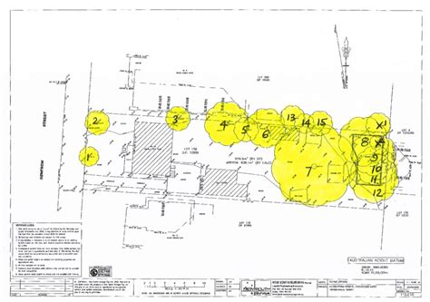 Plan Showing The Position Of The Trees Examined In This Report See Download Scientific