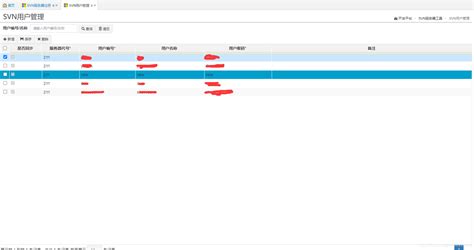 Svn可视化管理工具svn可视化工具 Csdn博客
