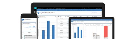Dynamics 365 Project Operations D365 Business Application