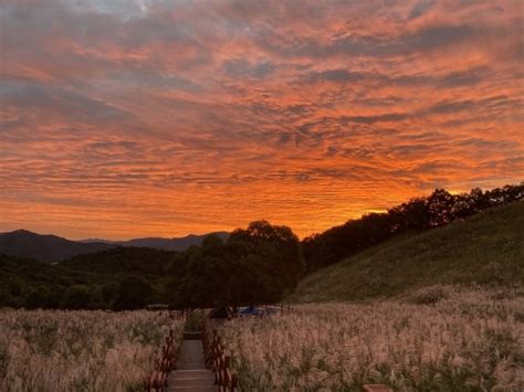 지금 가야 볼 수 있는 이 장면 오늘 한 번 떠나보실래요 캠핑도락 │ 매거진한경