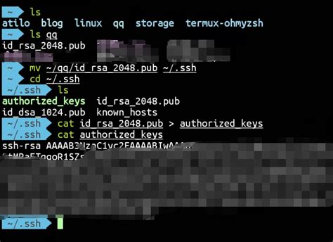 电脑上使用xshell通过ssh连接termux的详细过程temux要保持在前台 Csdn博客