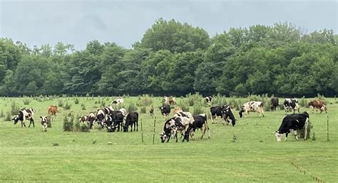Cumberland Farmers Market Cumberland Farmers Market