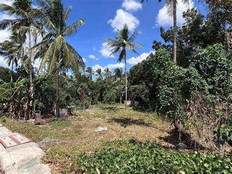 Commercial Lot Batangas Malvar Lots 🚜 March 2024 In Malvar Batangas For Sale Commercial Lot Batangas Malvar Lots 🚜 March 2024 In Malvar Batangas For Sale