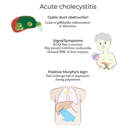 Clinical Pathology Glossary Acute Cholecystitis Ditki Medical