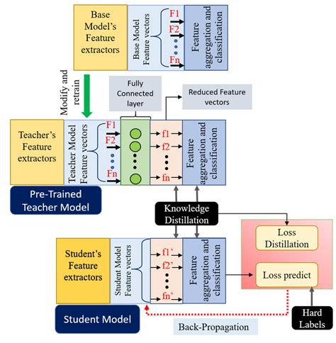 Schematic Representation Of The Proposed Knowledge Distillation Download Scientific Diagram
