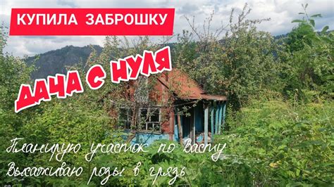КУПИЛА ЗАБРОШЕННУЮ ДАЧУ ПЛАНИРОВКА САДА и НАХОДКИ на участке Youtube