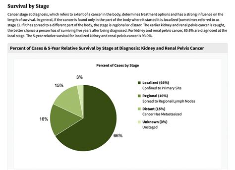 Genitourinary Learning Modules Ct Scanning