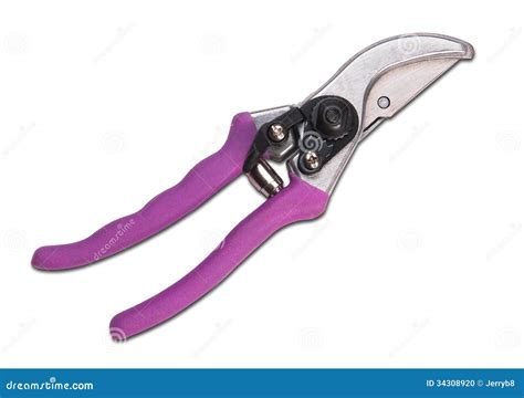 Tree Pruning Tools Stock Photo Image Of Branch Cutters 34308920