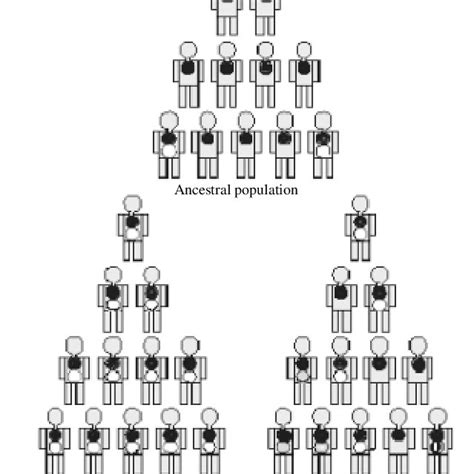 Structure And Retroposition Mechanism Of The Human Alu Repeat A A Download Scientific