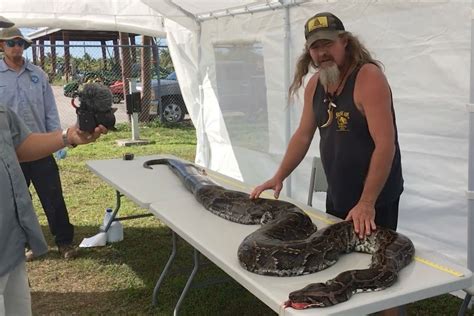 Python Killed By ‘elimination Hunter Is A Record Stretching Nearly 17