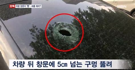 [단독] 아파트 주차장 차량 창문에 5㎝ 구멍…새총 테러