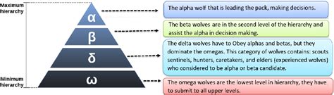 Table 1 From An Enhanced Evolutionary Based Feature Selection Approach Using Grey Wolf Optimizer
