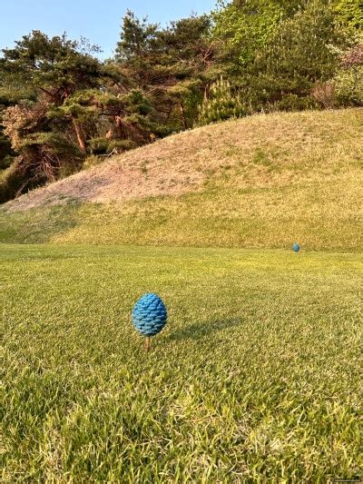 경기도 여주 캐슬파인cc 야간 노캐디 라운드 후기 네이버 블로그