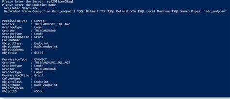 Viewing Sql Endpoint Permissions With Powershell