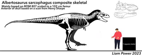 Albertosaurus Skeletal Fandom