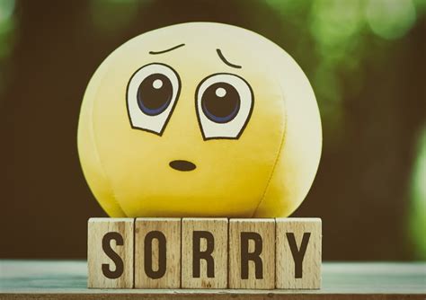 사과 꿈 사과하는 꿈 해몽 17가지 부모님 친구 연인 애인 화난 울면서 엎드려 사과받는 꿈 등 Life Is Fun