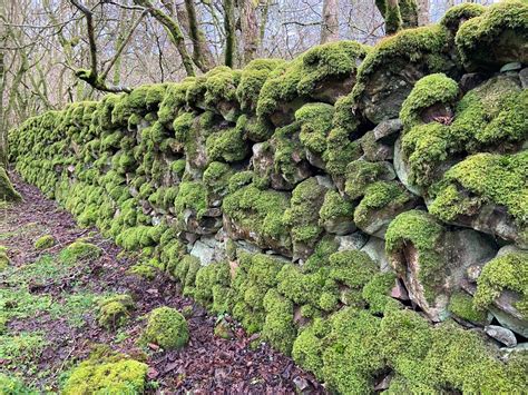 CornishBoyArt On Twitter RT IanCarter67 These Ancient Walls Run
