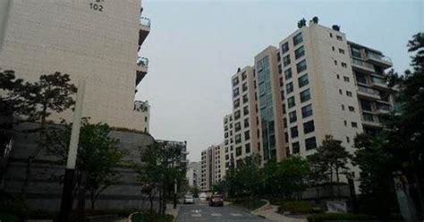 박효신 전입신고한 한남더힐 아파트 강제경매감정가 79억원