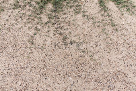 沙地植物高清摄影大图 千库网