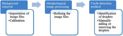 Logical Flow Chart Of The Methodology Download Scientific Diagram