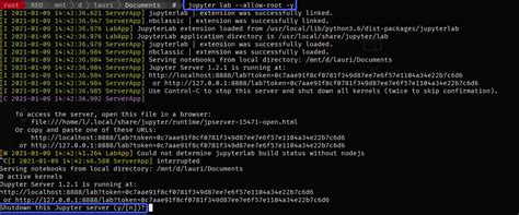 Y Does Not Confirm Exit Prompt · Issue 9585 · Jupyterlabjupyterlab · Github