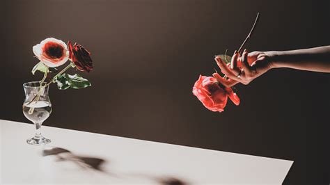 블랙에 돌 테이블에 와인 글라스에 분홍색 장미 꽃과 빨간 장미를 들고 여자의 부분 보기 그림자에 대한 스톡 사진 및 기타 이미지 그림자 꽃 꽃의 구조 백인종 Istock