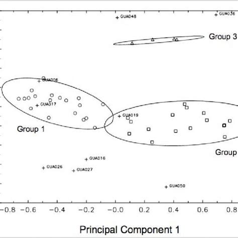 Bivariate Plot Of Principal Components 1 And 2 Displaying Three