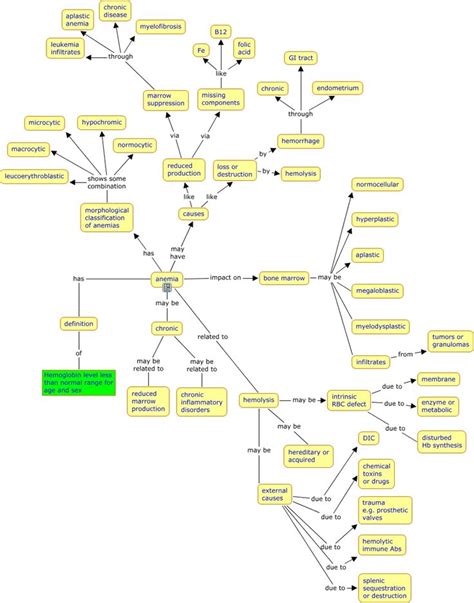 Antibiotic That Causes Aplastic Anemia