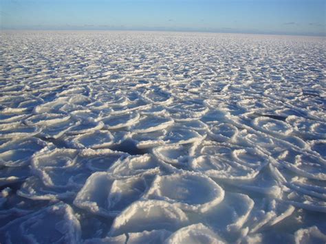 Study Exposes Role Of Sea Ice In Protecting Antarctic Coast Aapp