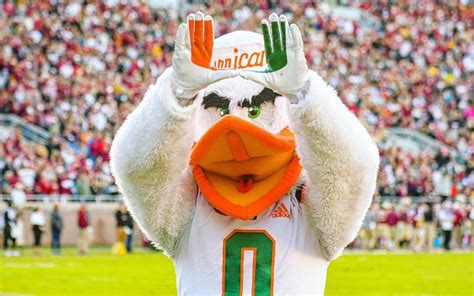 University Of Miami Sports Miami And Miami Beach