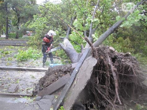 Из за непогоды 226 населенных пунктов в Украине остались без света Диалог Ua