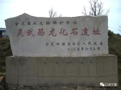 大事件寧夏靈武恐龍化石發現的前前後後 每日頭條