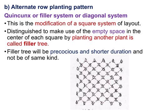 Planning And Layout Of An Orchardpptx