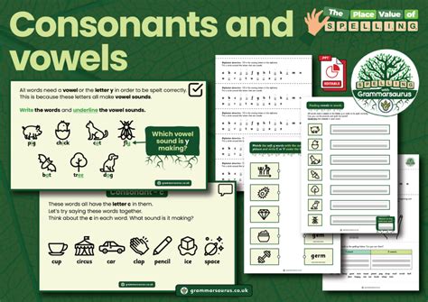 Y2 Objective 1 Consonants And Vowels Grammarsaurus