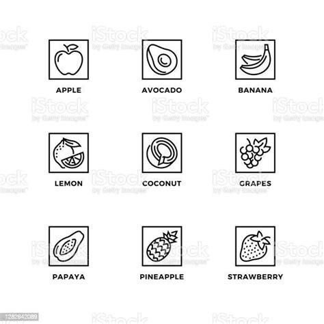 디자인 요소 로고 디자인 템플릿 아이콘 및 건강한 과일을 위한 배지의 벡터 세트 편집 가능한 스트로크에 대한 스톡 벡터 아트 및 기타 이미지 편집 가능한 스트로크 0명