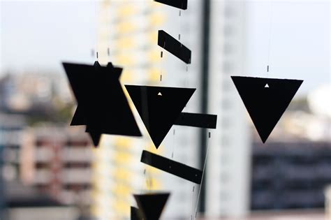 Genetic Construction