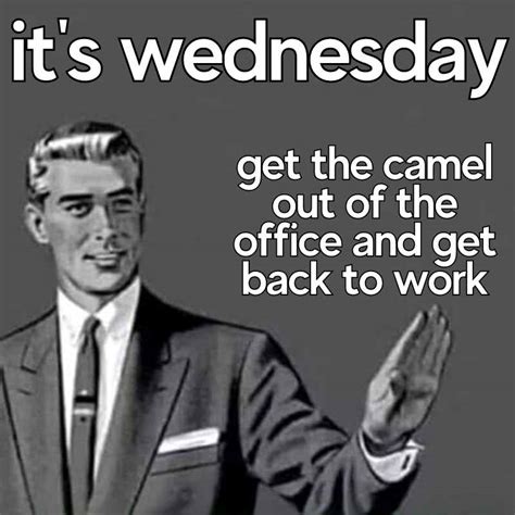 50 Fun Wednesday Memes To Get You Through The Mid Week Slump